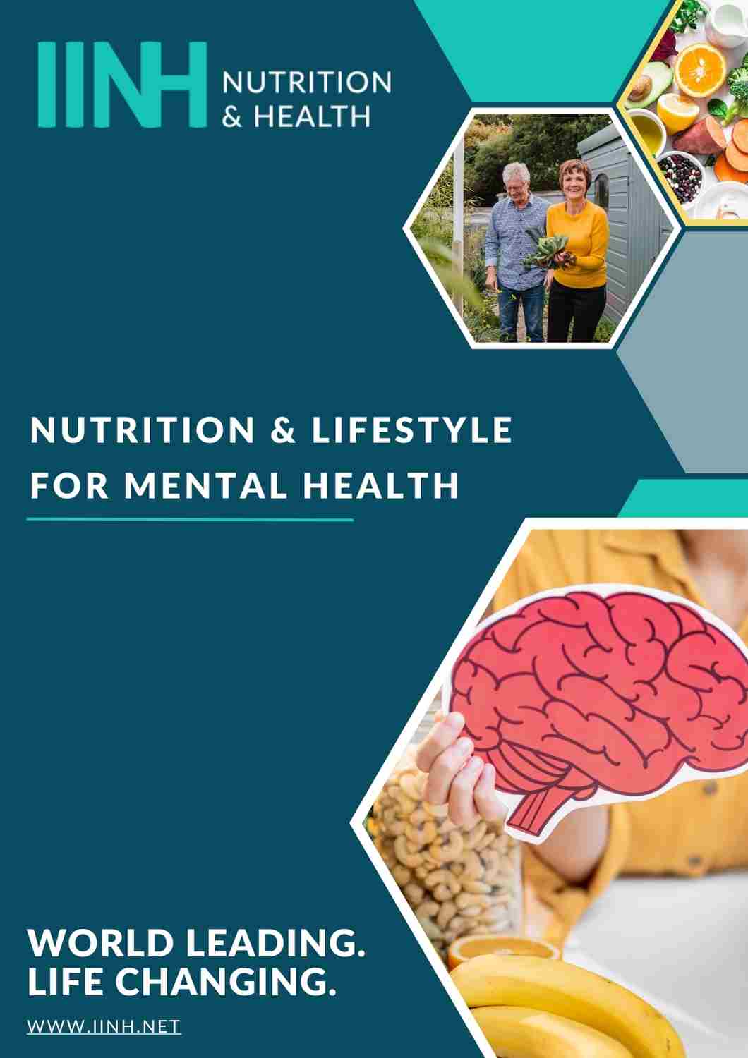 Request A Nutrition & Lifestyle for Mental Health Brochure - IINH
